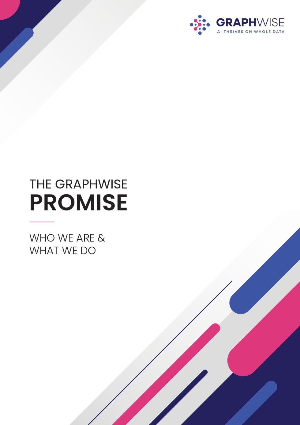 The Graphwise Promise: Who We Are & What We Do